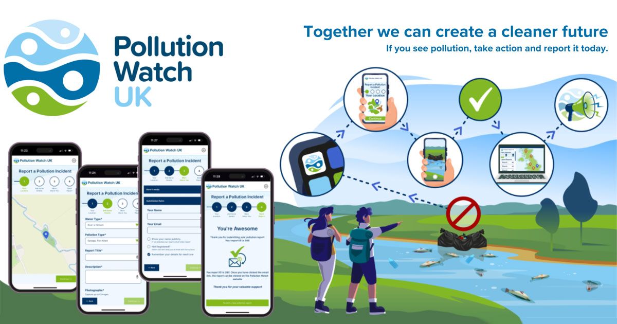 How To Identify Pollution - Full Guide With Pictures