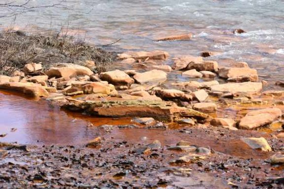 How To Identify Pollution - Full Guide With Pictures