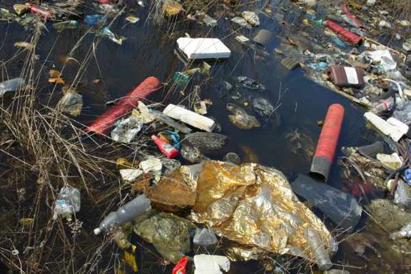 How To Identify Pollution - Full Guide With Pictures